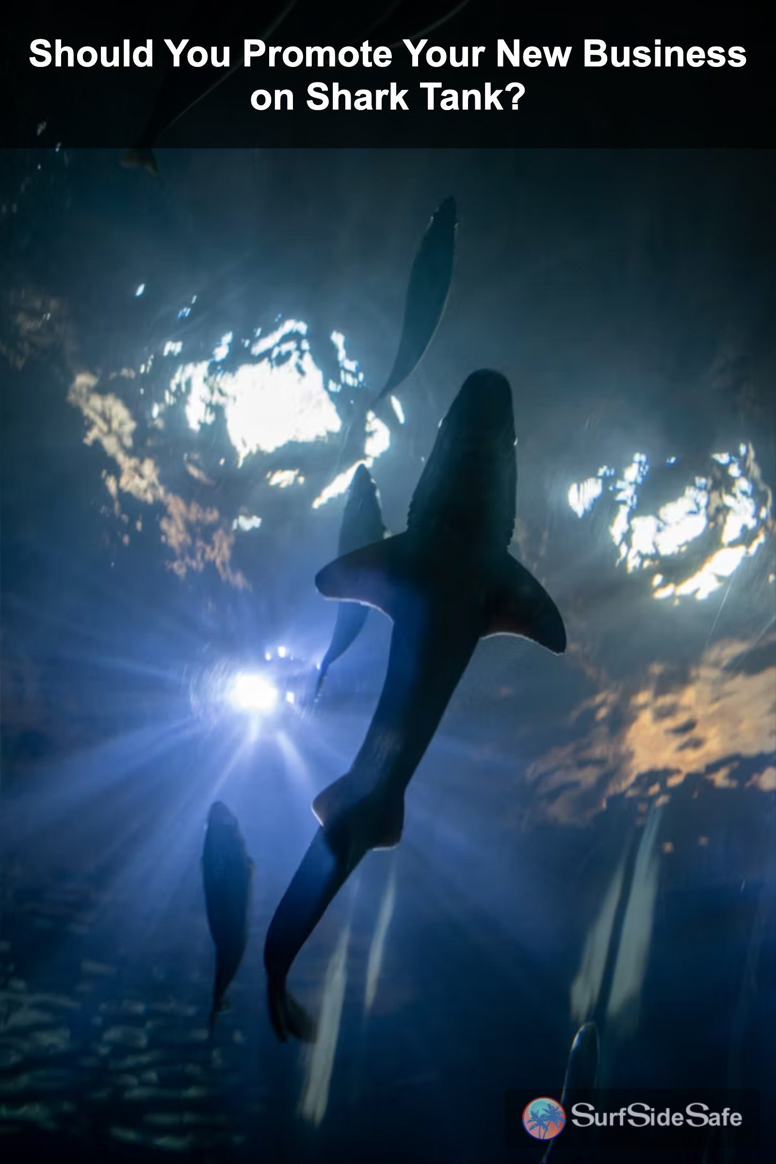 Should You Try to Get on Shark Tank If You Are Trying to Start a ...