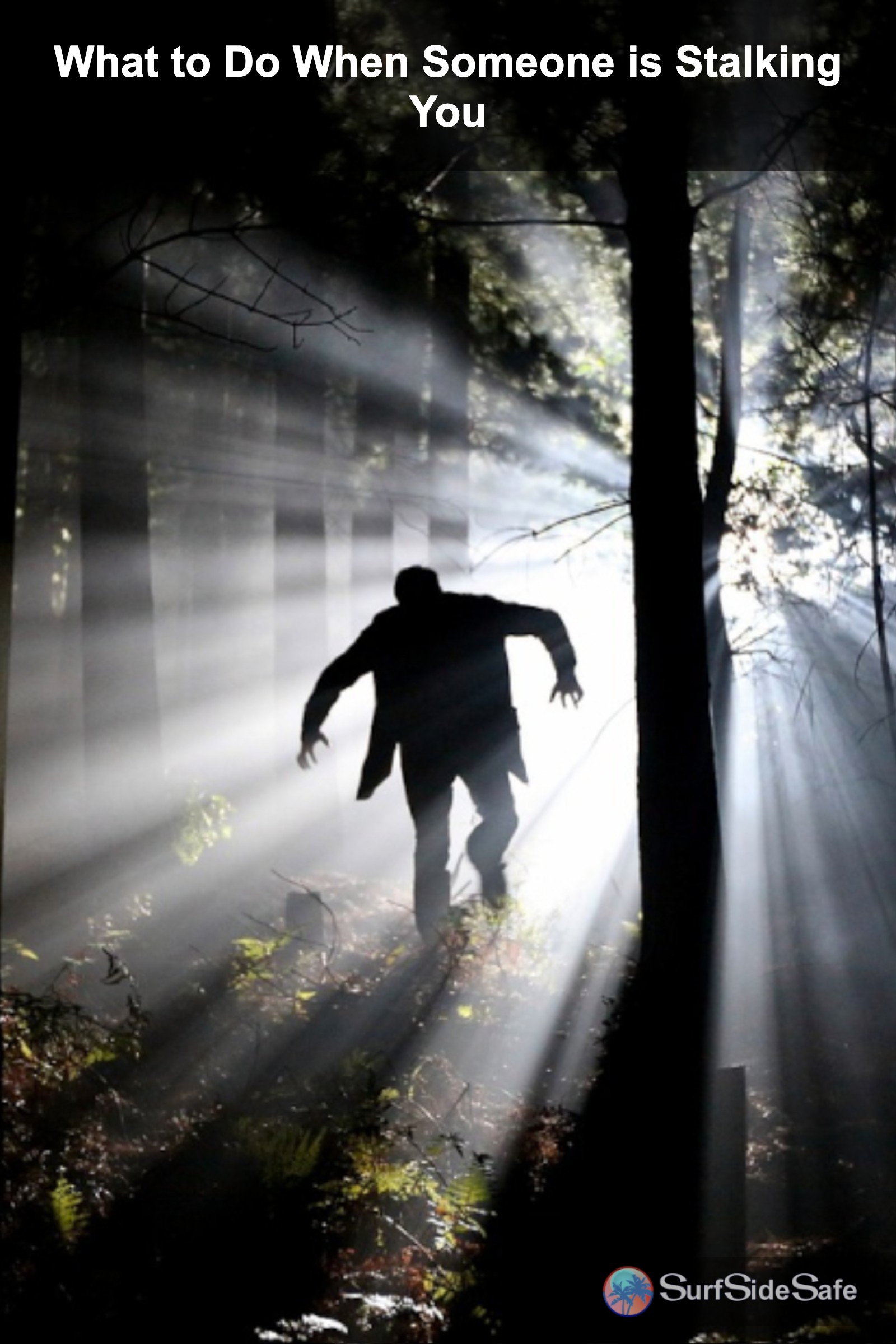 8 Things to Do When Someone is Stalking You | SurfSideSafe Post